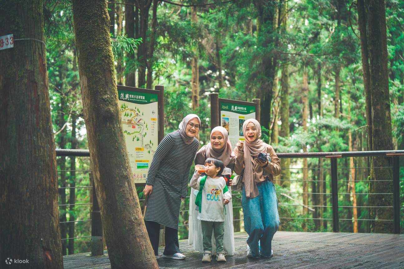 {Muslim Friendly] Taipingshan the captivating high mountain - Klook
